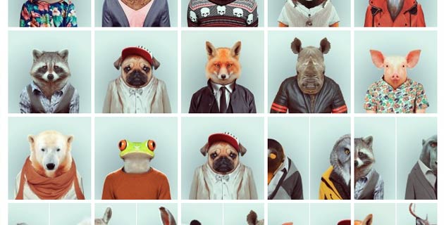 Zoo Portraits | Yago Partal – Feel Desain | your daily dose of creativity