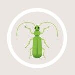 The theory of evolution | Animation Video – Feel Desain | your daily ...