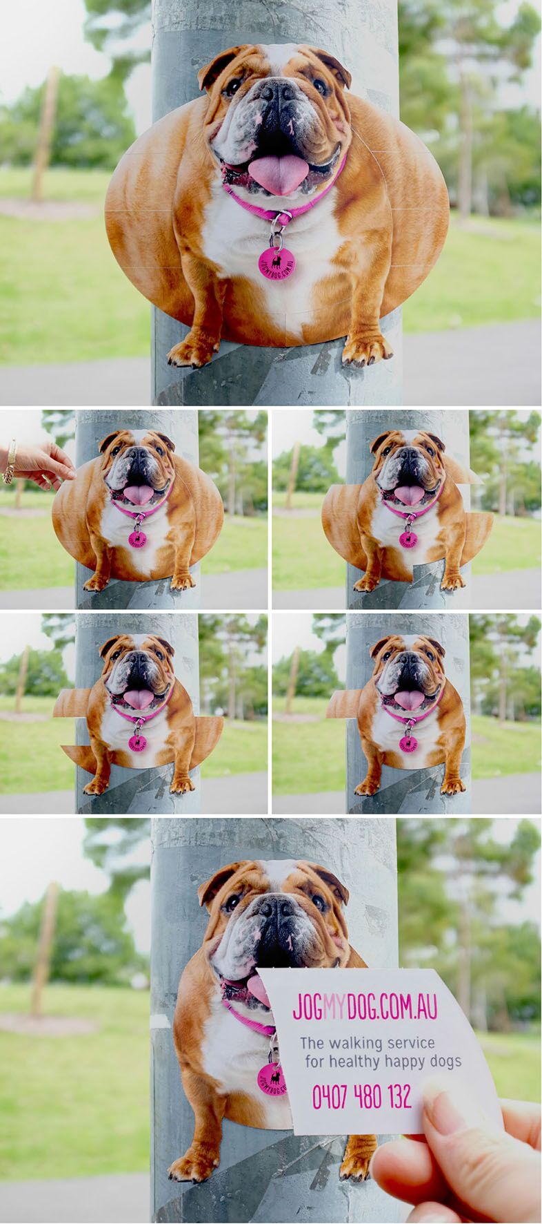 Jog My Dog – Feel Desain | your daily dose of creativity