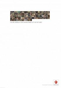 33 Powerful Animal Ad Campaigns – Feel Desain | your daily dose of ...