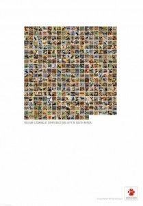 33 Powerful Animal Ad Campaigns – Feel Desain | your daily dose of ...