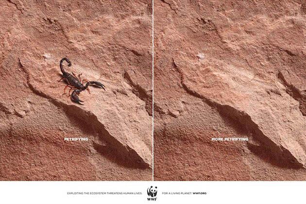 33 Powerful Animal Ad Campaigns – Feel Desain | your daily dose of ...