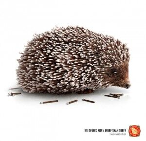 33 Powerful Animal Ad Campaigns – Feel Desain | your daily dose of ...