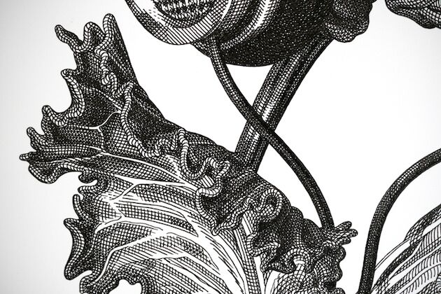 Modern engravings | Olivia Knapp – Feel Desain | your daily dose of ...