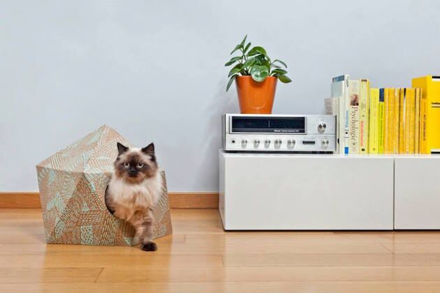 Cat Cube | Delphine Courier – Feel Desain | your daily dose of creativity