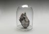 Crocheted Wire Anatomy by Anne Mondro – Feel Desain | your daily dose ...